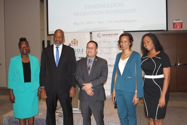 BLUE ECONOMY STAKEHOLDERS COMMEND VALIDATION MEETING - The Planning Institute of Jamaica