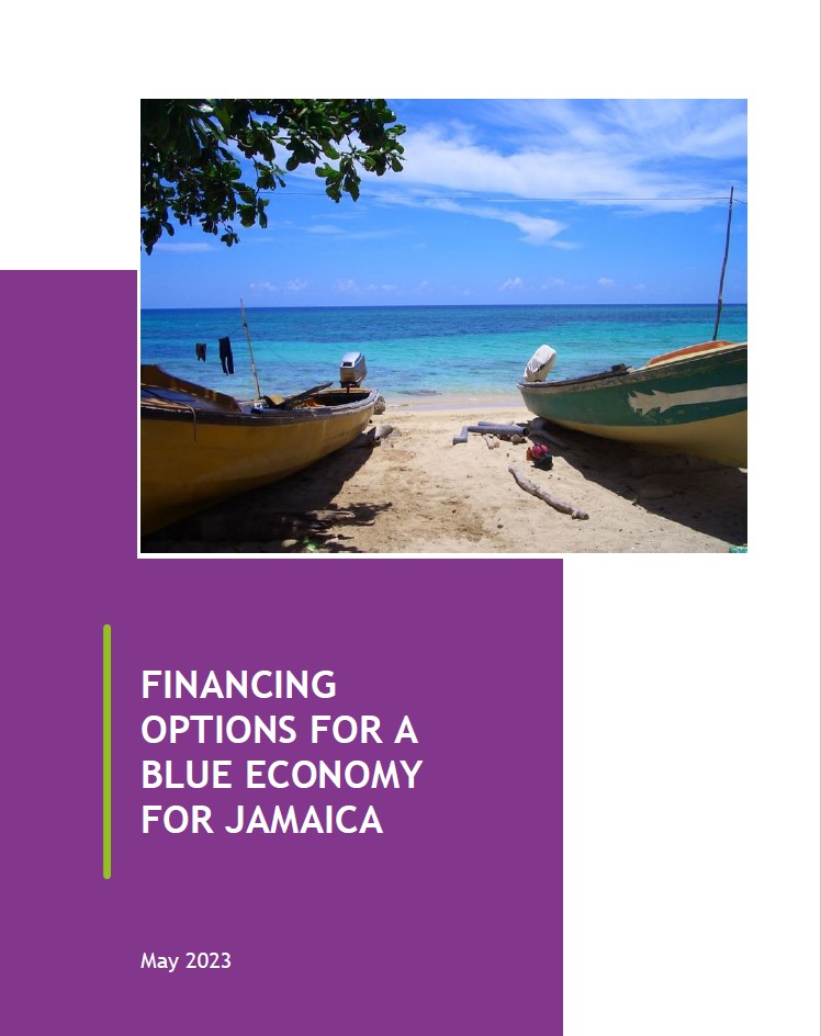 Financing Options for a Blue Economy for Jamaica - The Planning ...