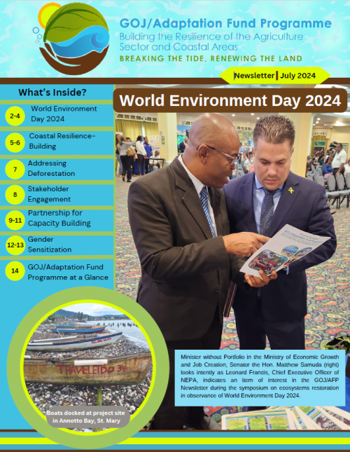 GOJ/Adaptation Fund Programme Newsletter (July 2024) - The Planning ...